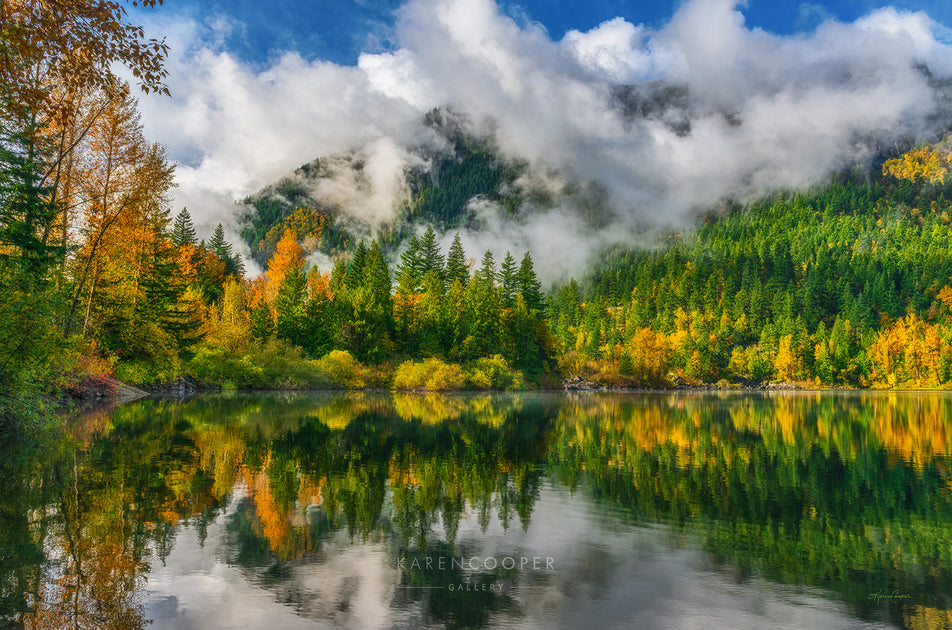 Autumn Glory | Karen Cooper Gallery