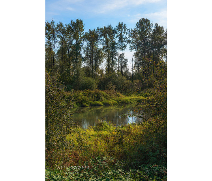 Serenity | Karen Cooper Gallery