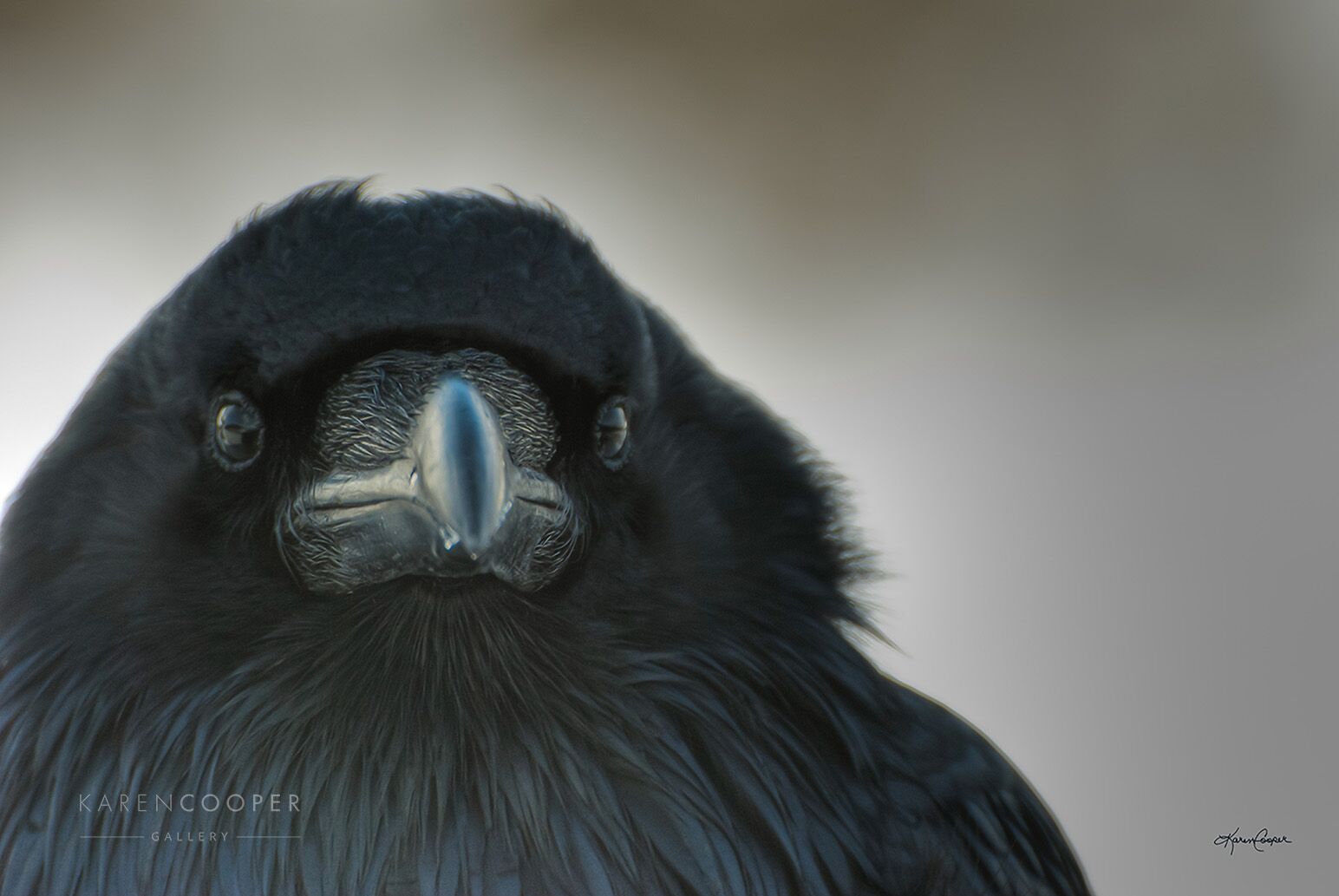 The Raven | Karen Cooper Gallery
